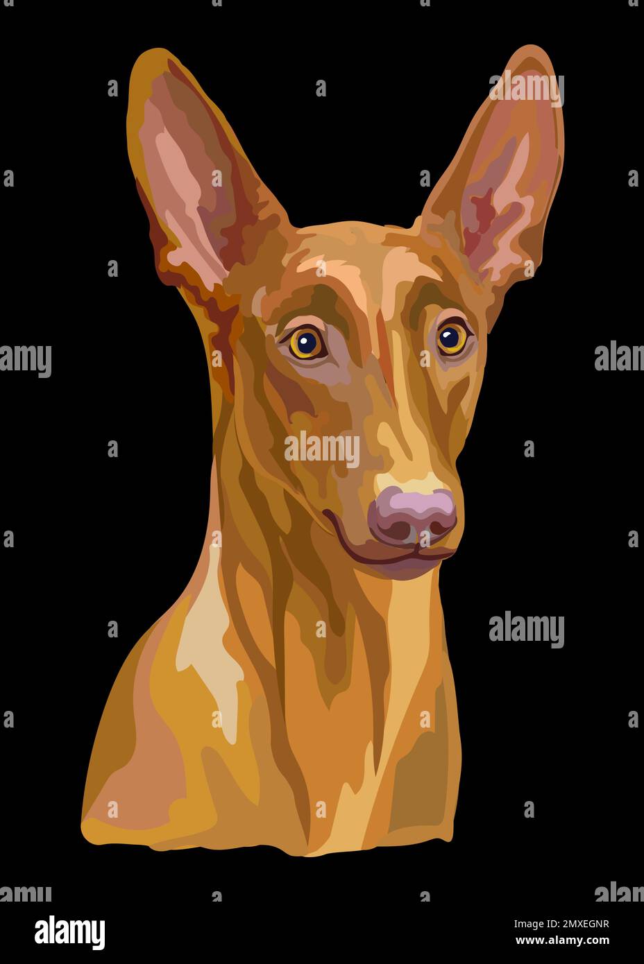 Realistic close up head of Pharaon Dog. Vector colorful isolated ...