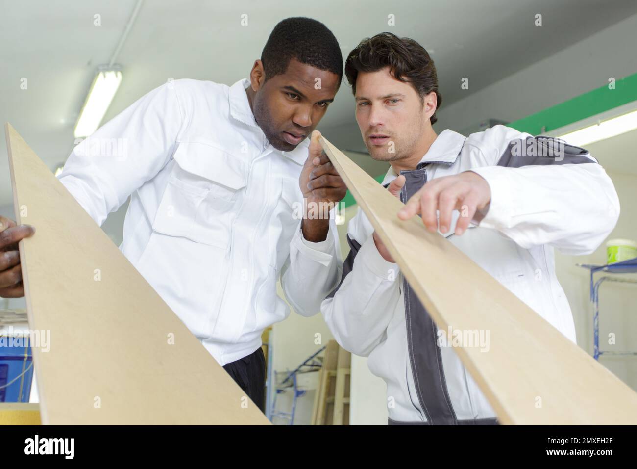 portrait of a male decorating team Stock Photo - Alamy