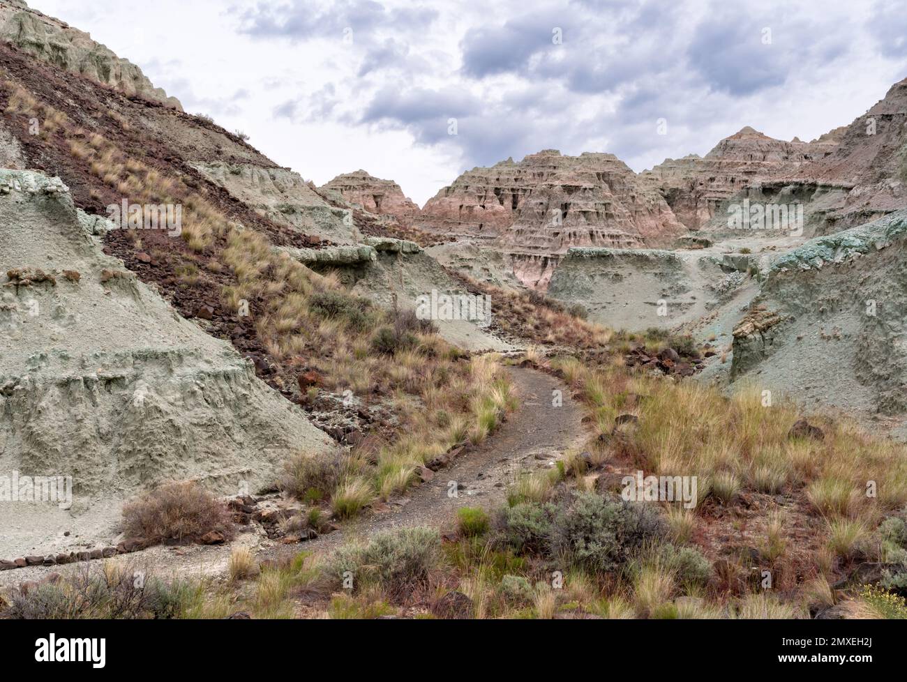 Fossil in rock formation hi-res stock photography and images - Alamy