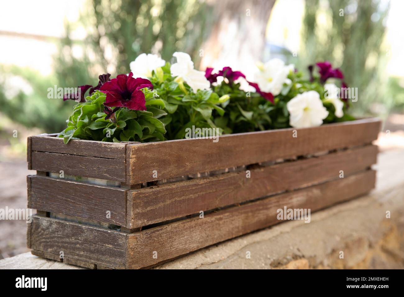 Beautiful colorful flowers in wooden plant pot outdoors Stock Photo - Alamy
