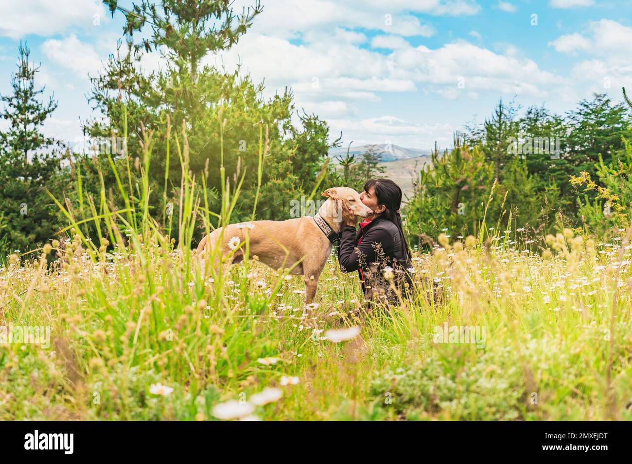 Beautiful woman kissing her greyhound dog outdoors. Concept of ...