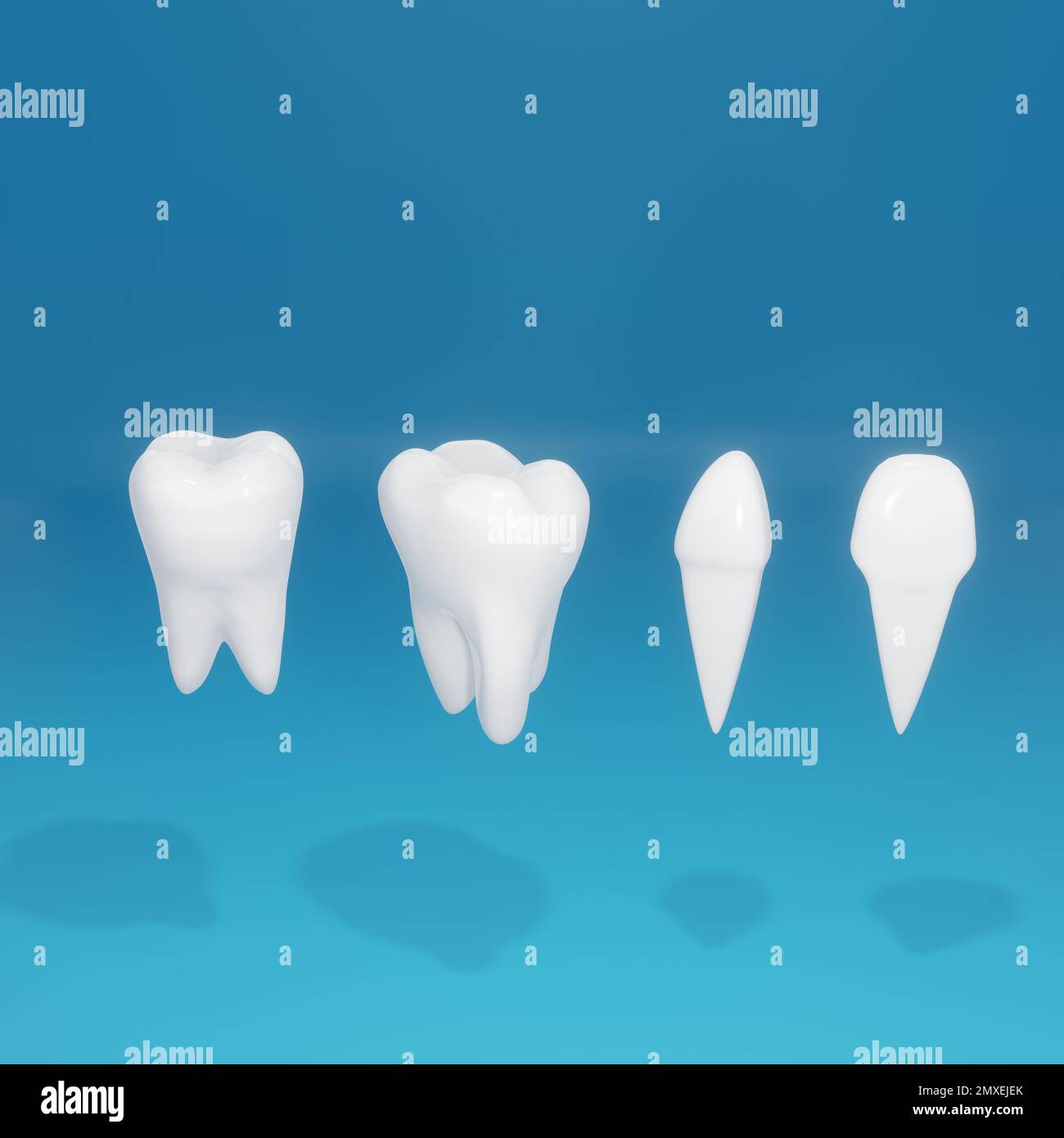 all types of human teeth 3d render image Stock Photo - Alamy