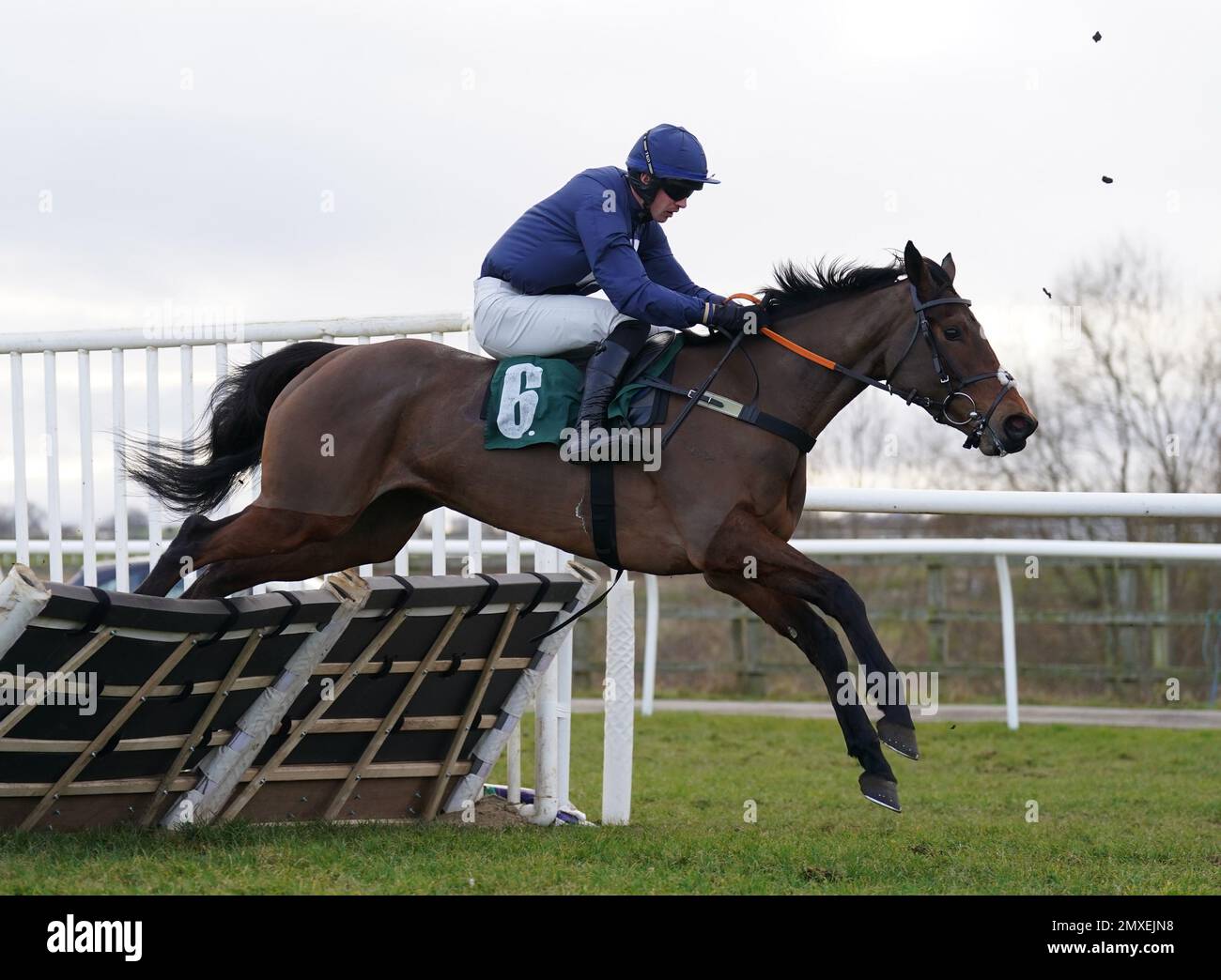Vision Of Hope ridden by Paul O'Brien in the Andrew Dowson 50th ...