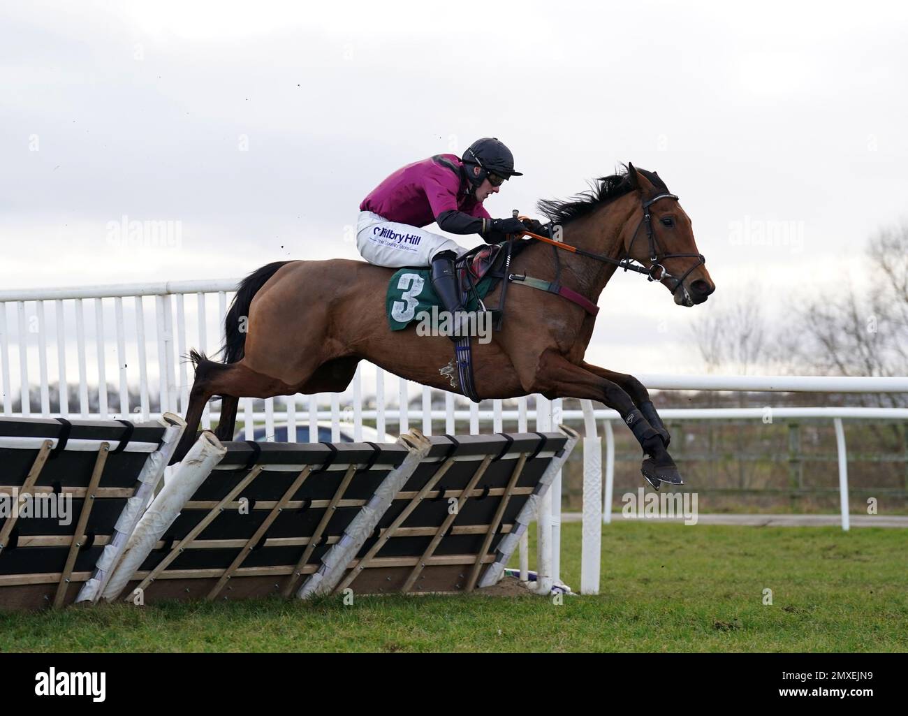 Lady Hamilton ridden by Ross Chapman in the Andrew Dowson 50th Birthday ...