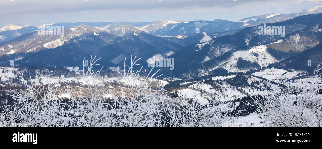 Snowy Mountain Banner