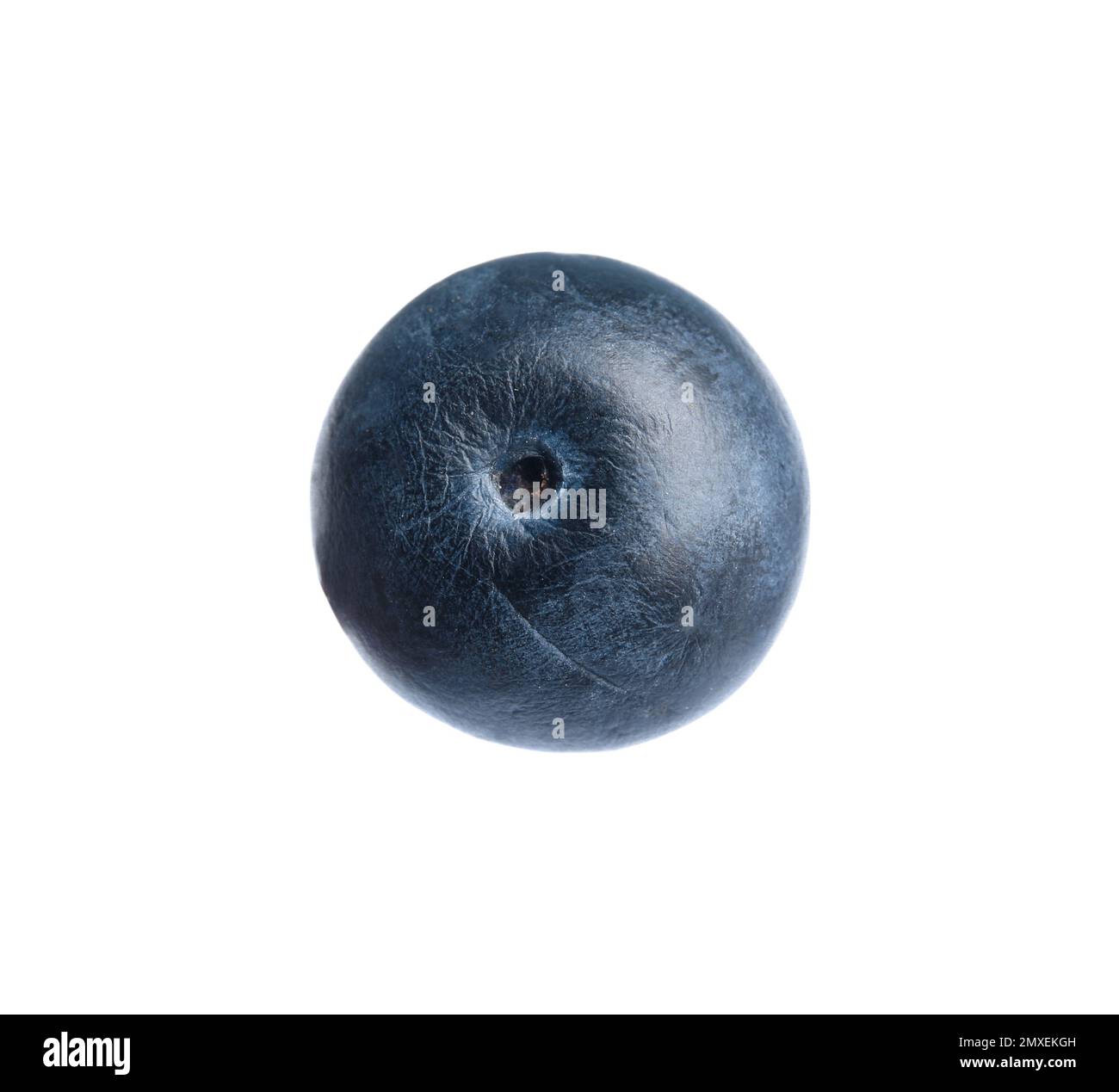 Whole fresh tasty blueberry isolated on white Stock Photo - Alamy