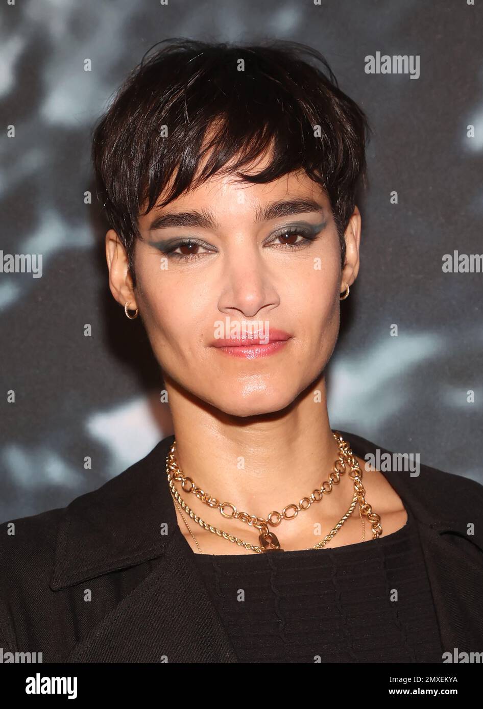 Los Angeles, California. 02/02/2023, Sofia Boutella attends the Stella ...