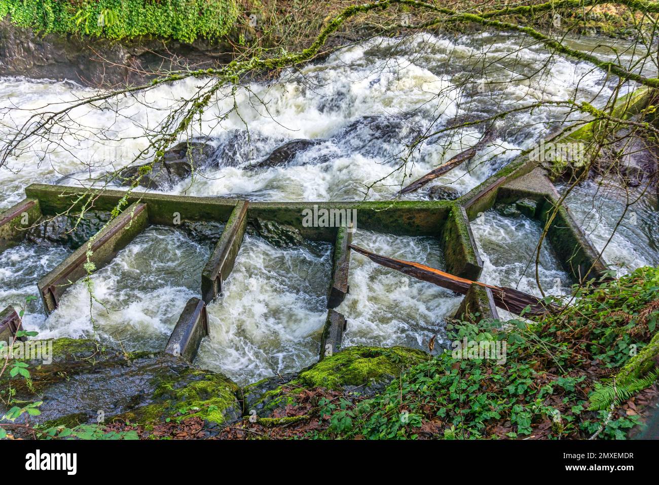 A fish ladder on the Deschutes River in Washington State Stock Photo ...