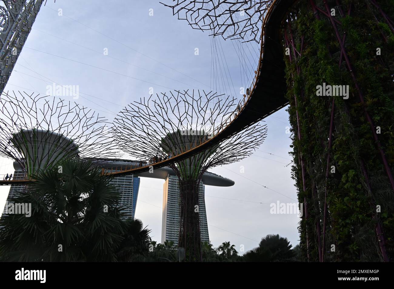 Close up of Supertree Grove, tree-like structure that performs a ...
