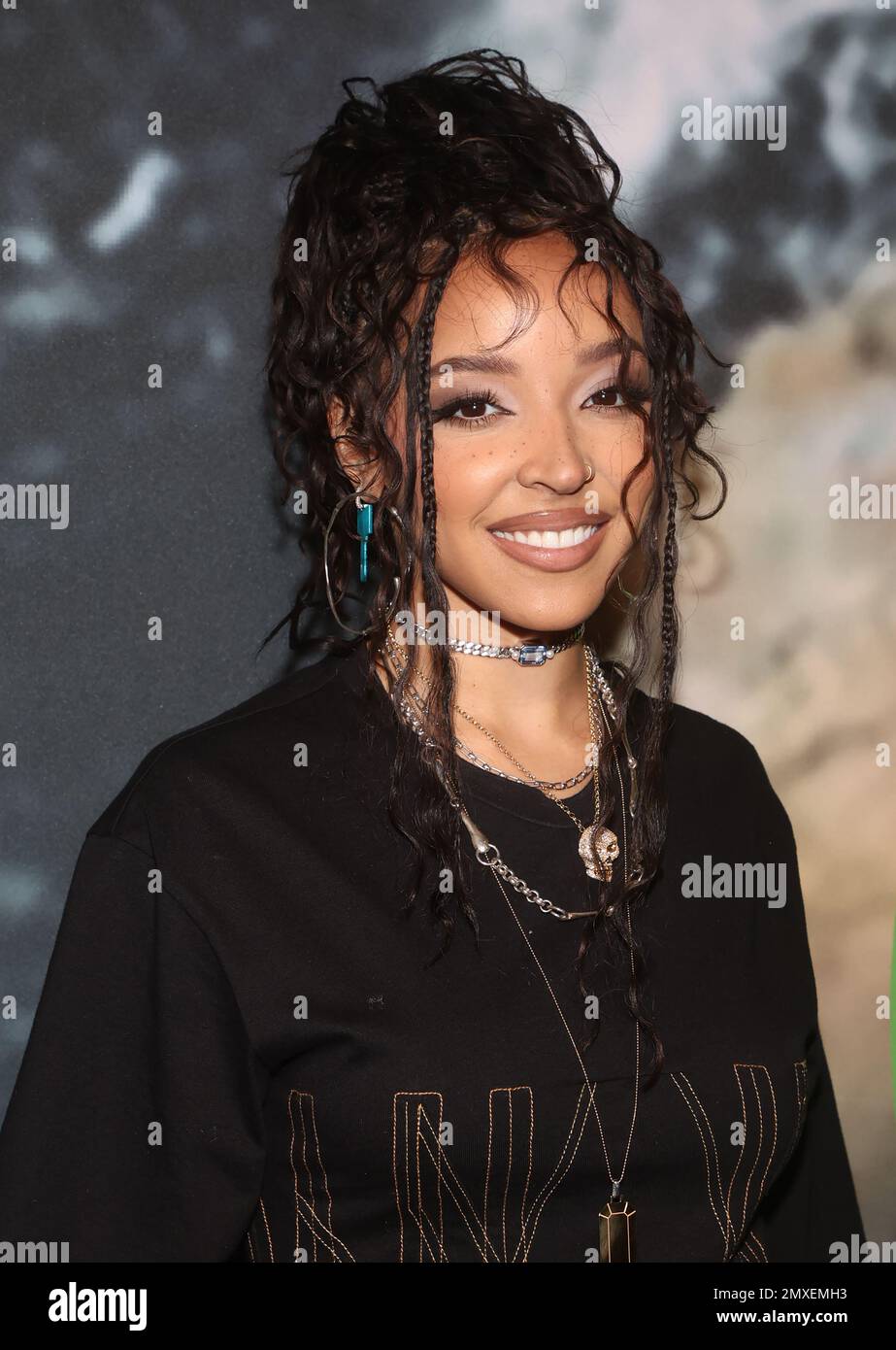 Los Angeles, Ca. 2nd Feb, 2023. Tinashe at Stella McCartney x Adidas at ...