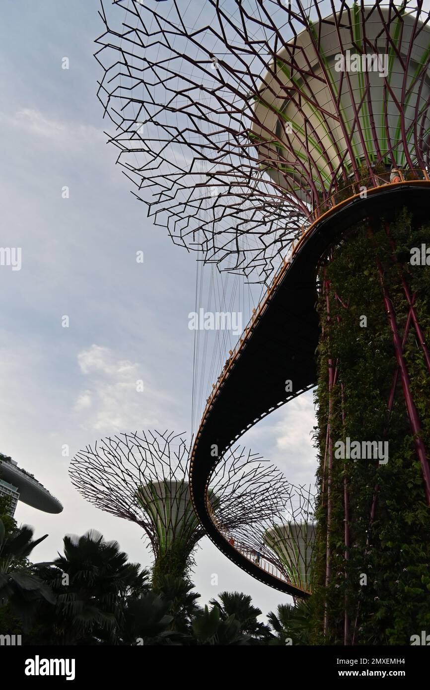 Close up of Supertree Grove, tree-like structure that performs a ...