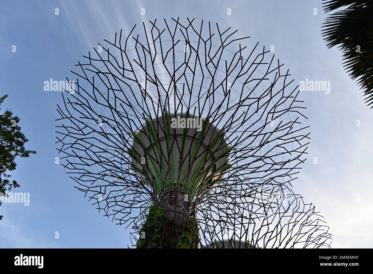 Close up of Supertree Grove, tree-like structure that performs a ...