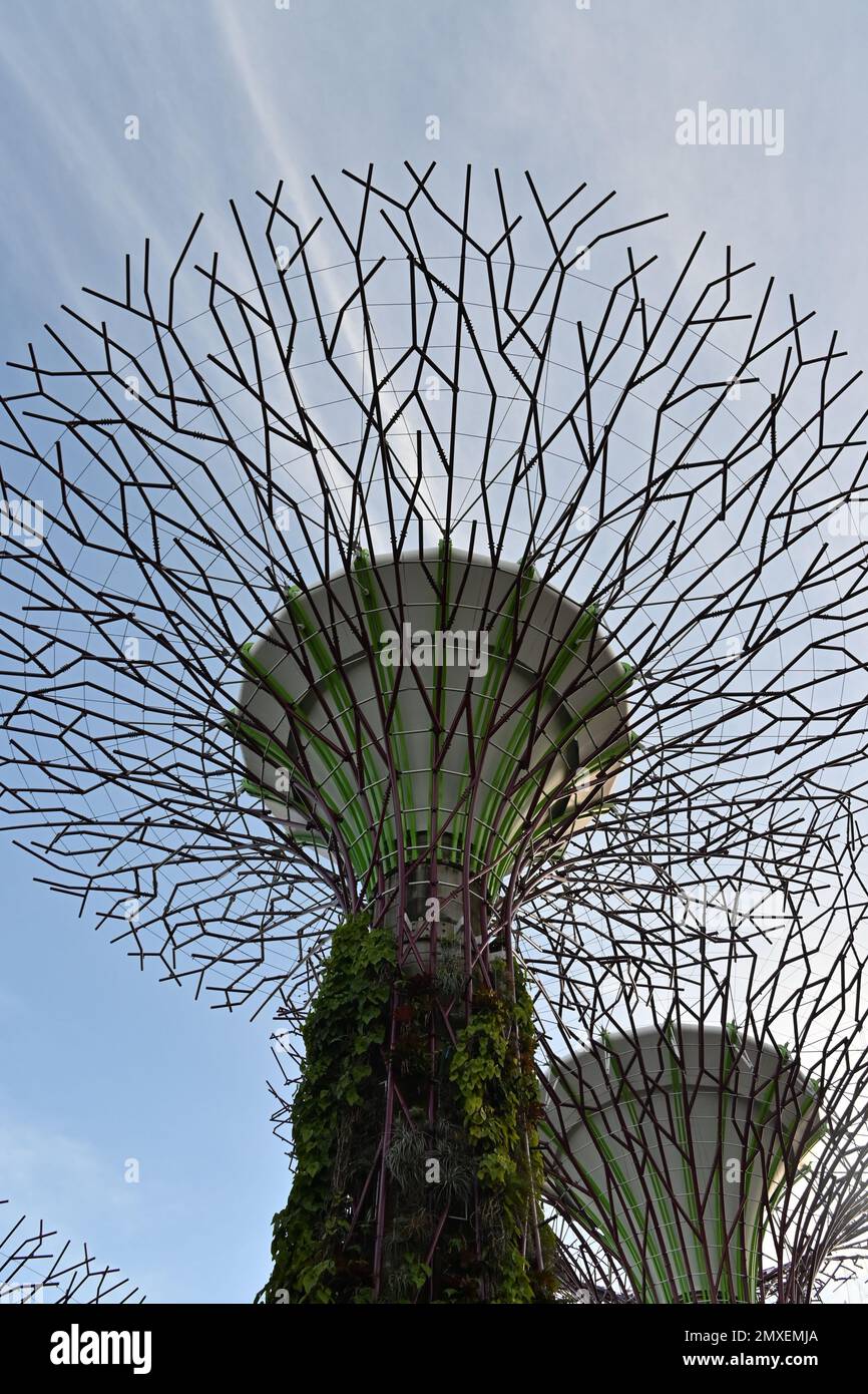 Close up of Supertree Grove, tree-like structure that performs a ...