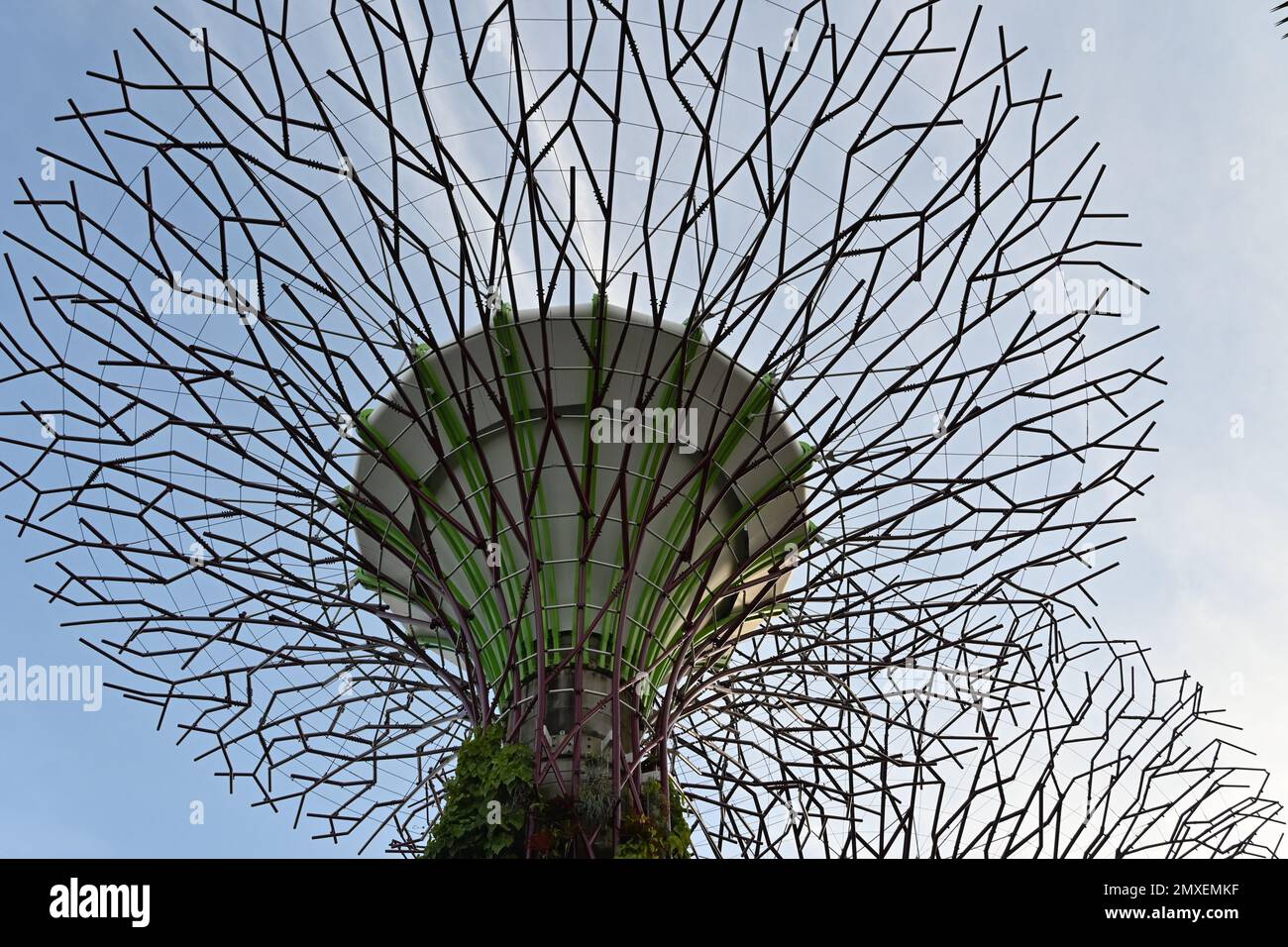 Close up of Supertree Grove, tree-like structure that performs a ...