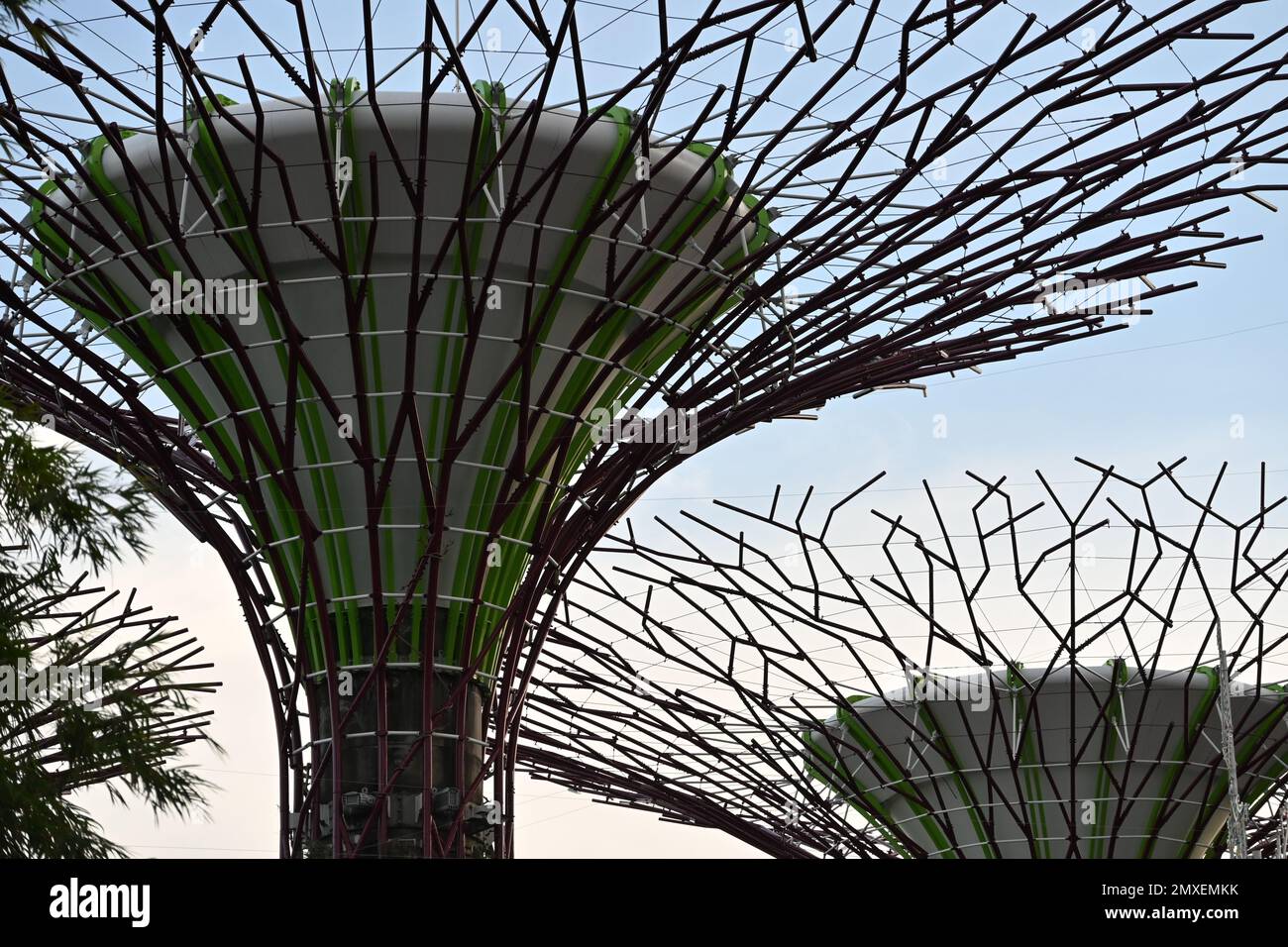 Close up of Supertree Grove, tree-like structure that performs a ...