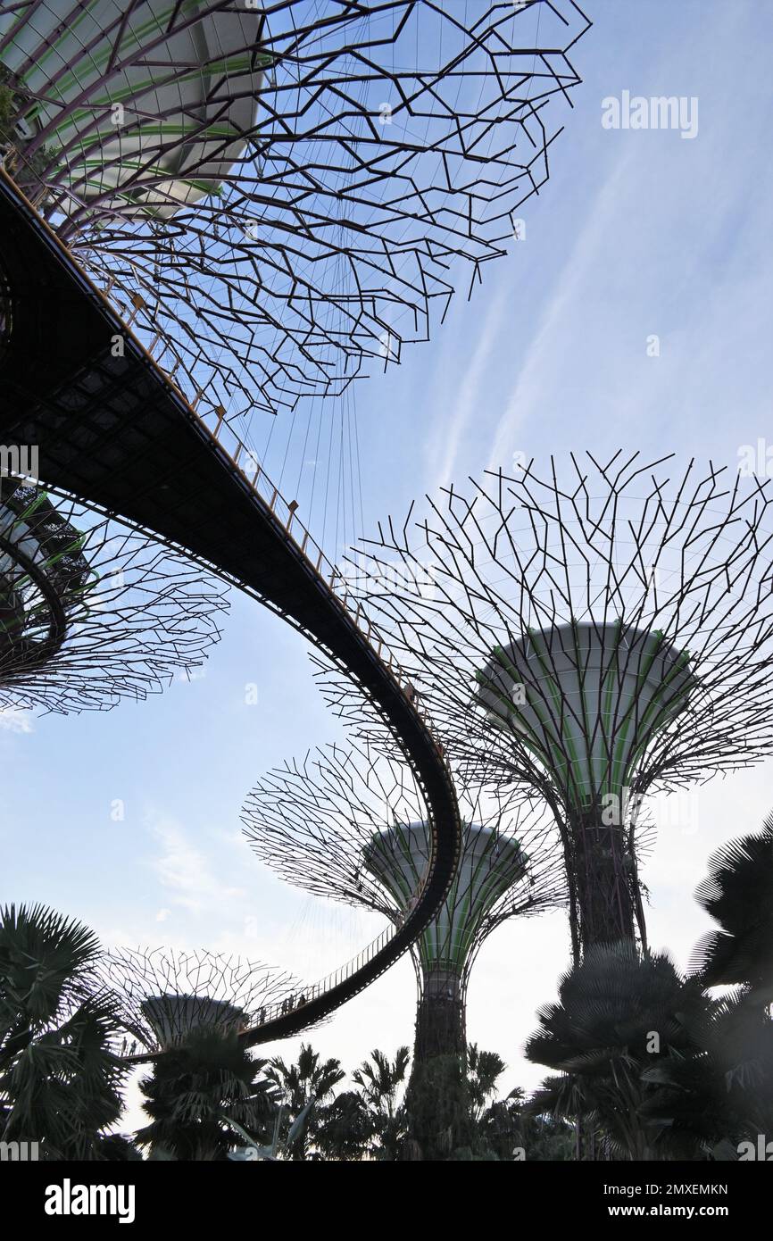 Close up of Supertree Grove, tree-like structure that performs a ...