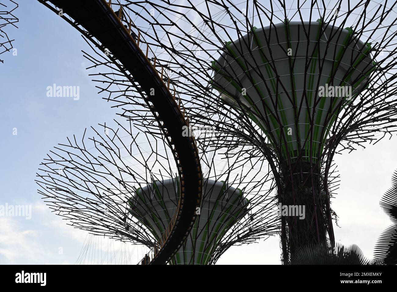Close up of Supertree Grove, tree-like structure that performs a ...