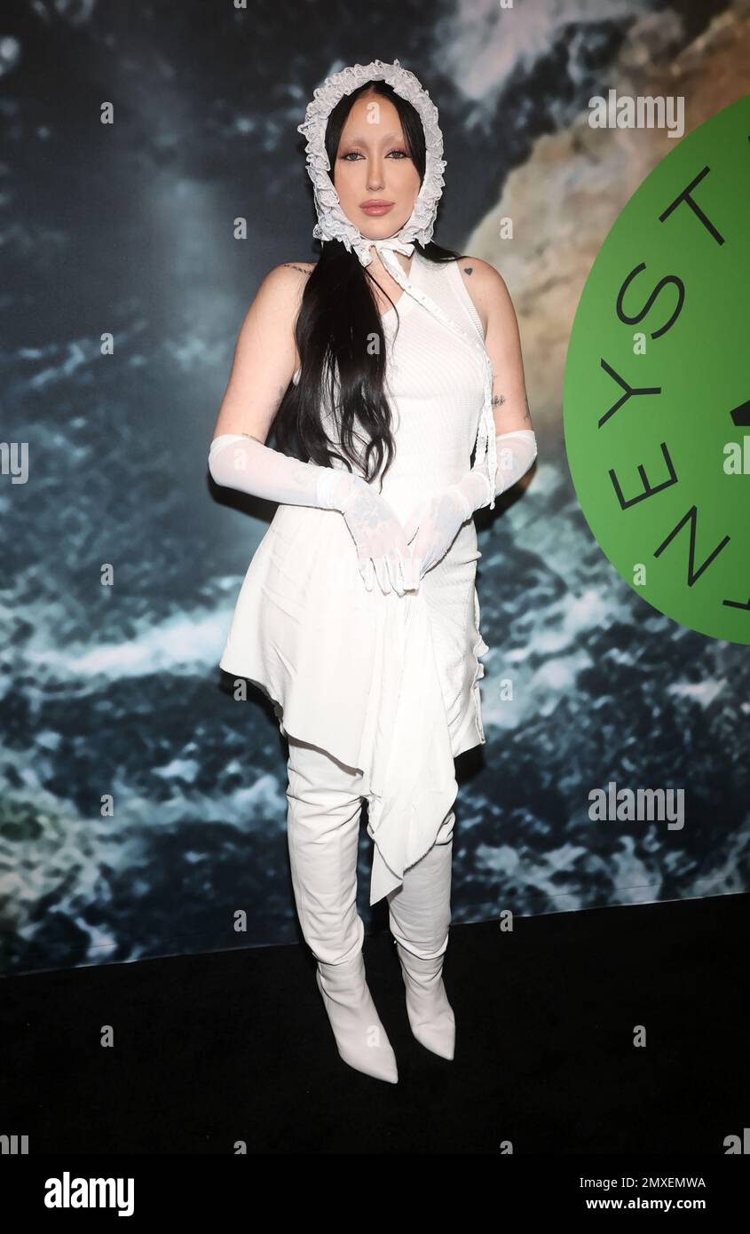2 February 2023 -Los Angeles, California - Noah Cyrus,. Stella ...