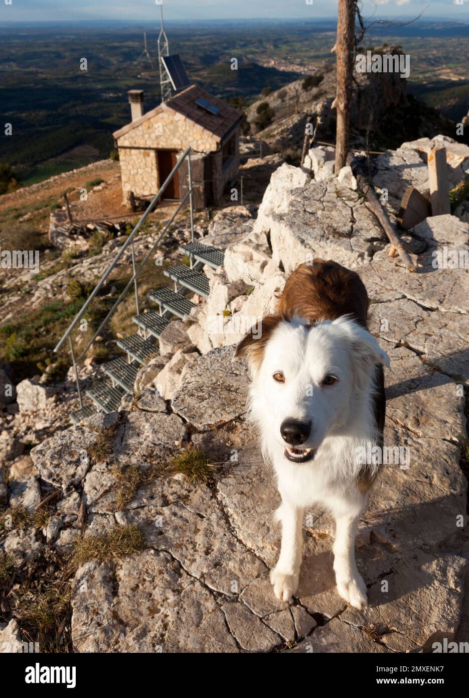 Picosa hi-res stock photography and images - Alamy