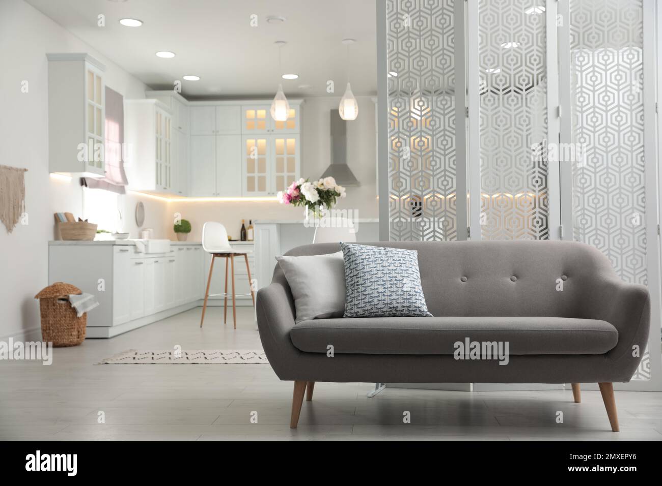 Comfortable sofa and modern kitchen in apartment. Interior design Stock ...