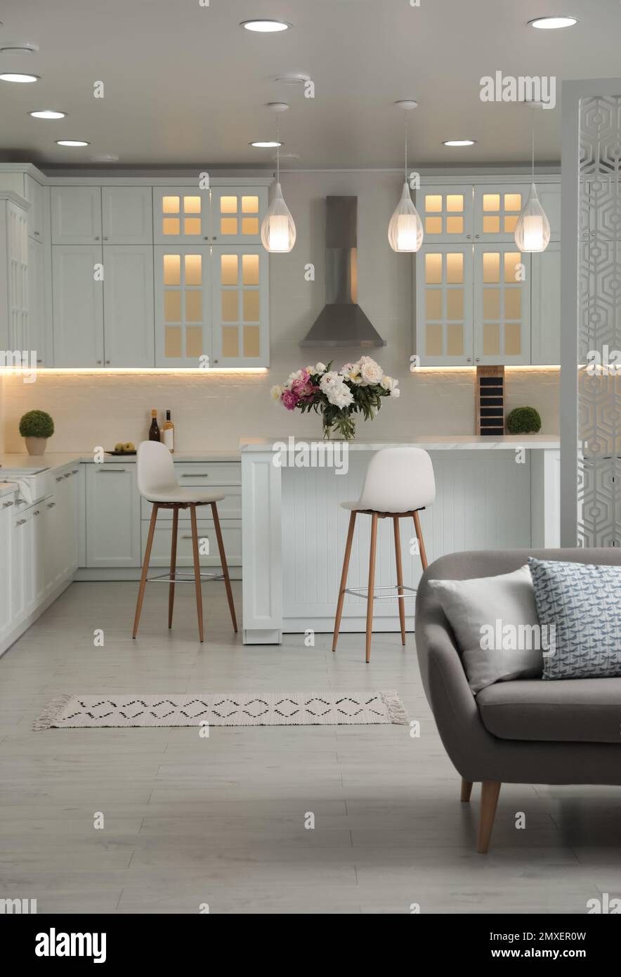 Comfortable sofa and modern kitchen in apartment. Interior design Stock ...