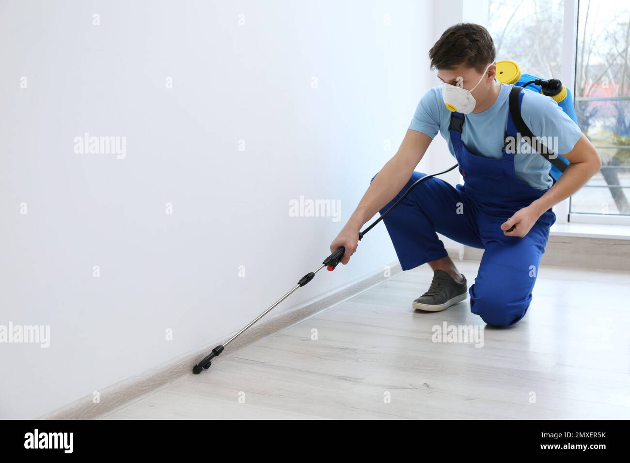 Pest control worker spraying pesticide in room. Space for text Stock ...