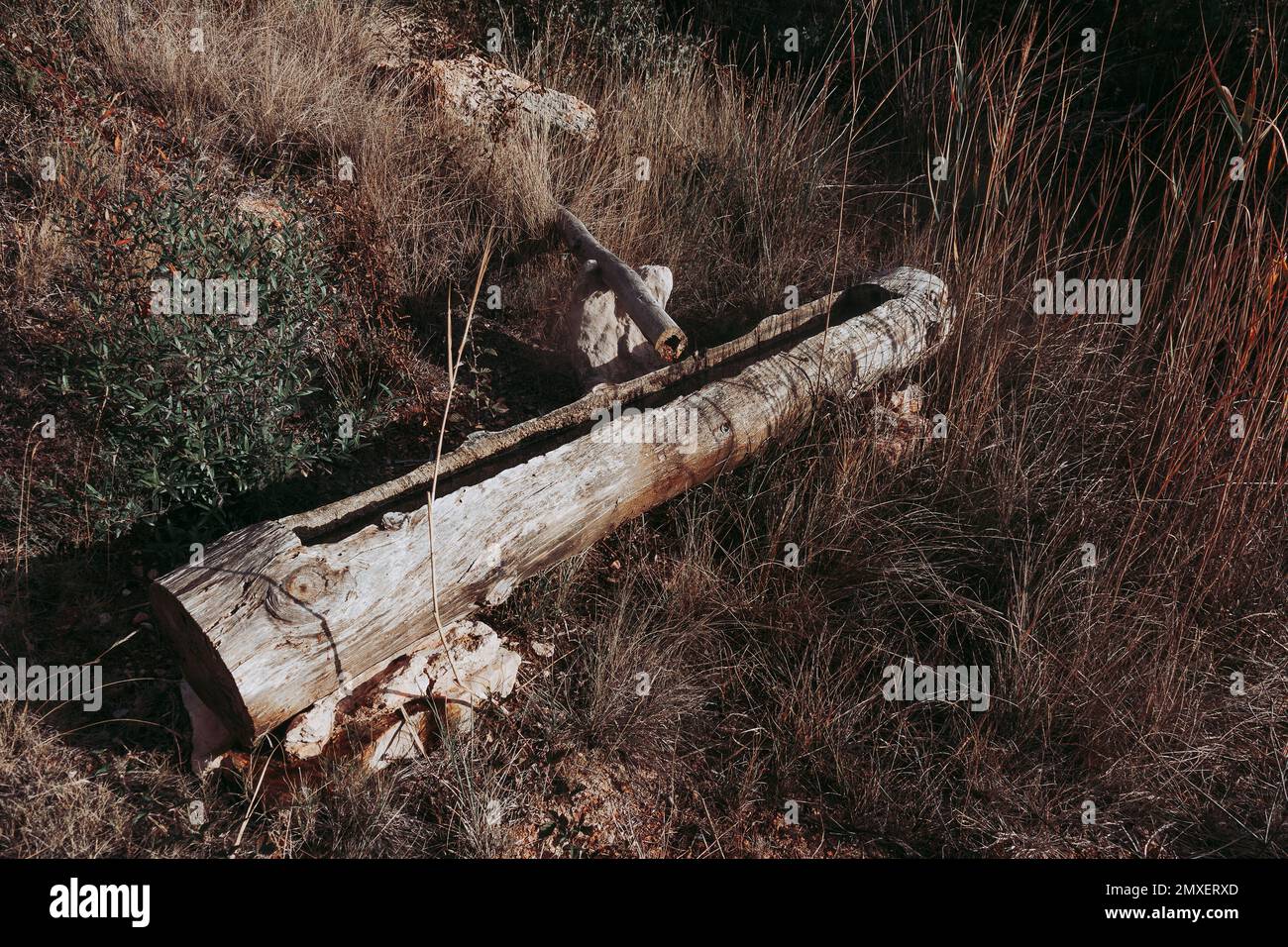 Fountain for farm animals Stock Photo - Alamy