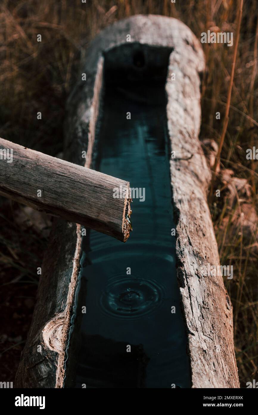 Fountain for farm animals Stock Photo - Alamy