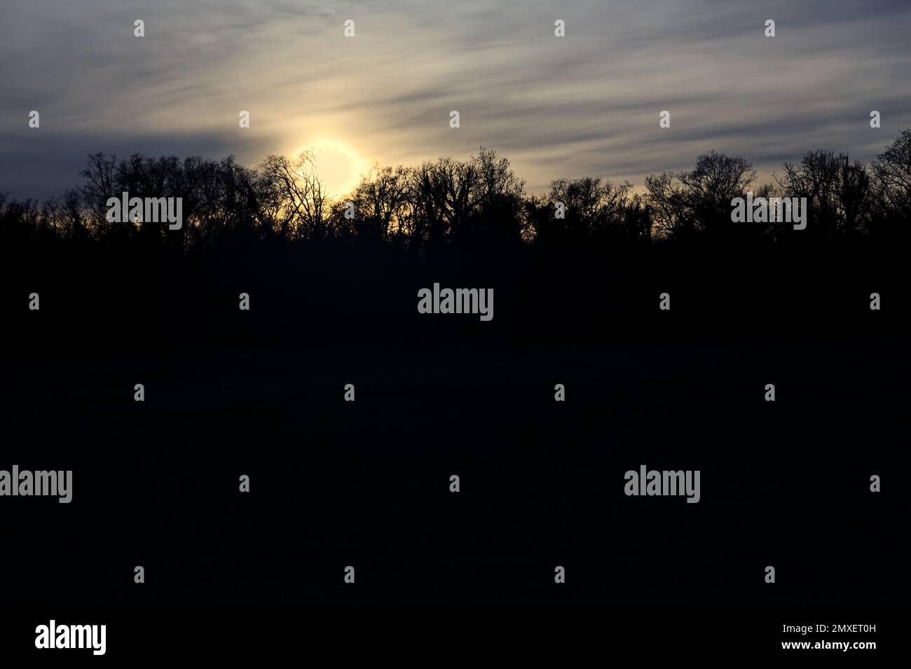 Overcast sunset sky with silhouette of a park Stock Photo - Alamy