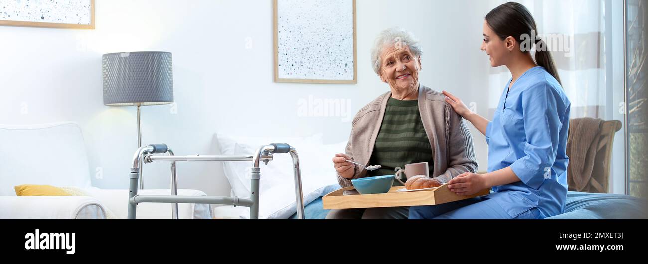 Care worker serving dinner for elderly woman on geriatric hospice ...