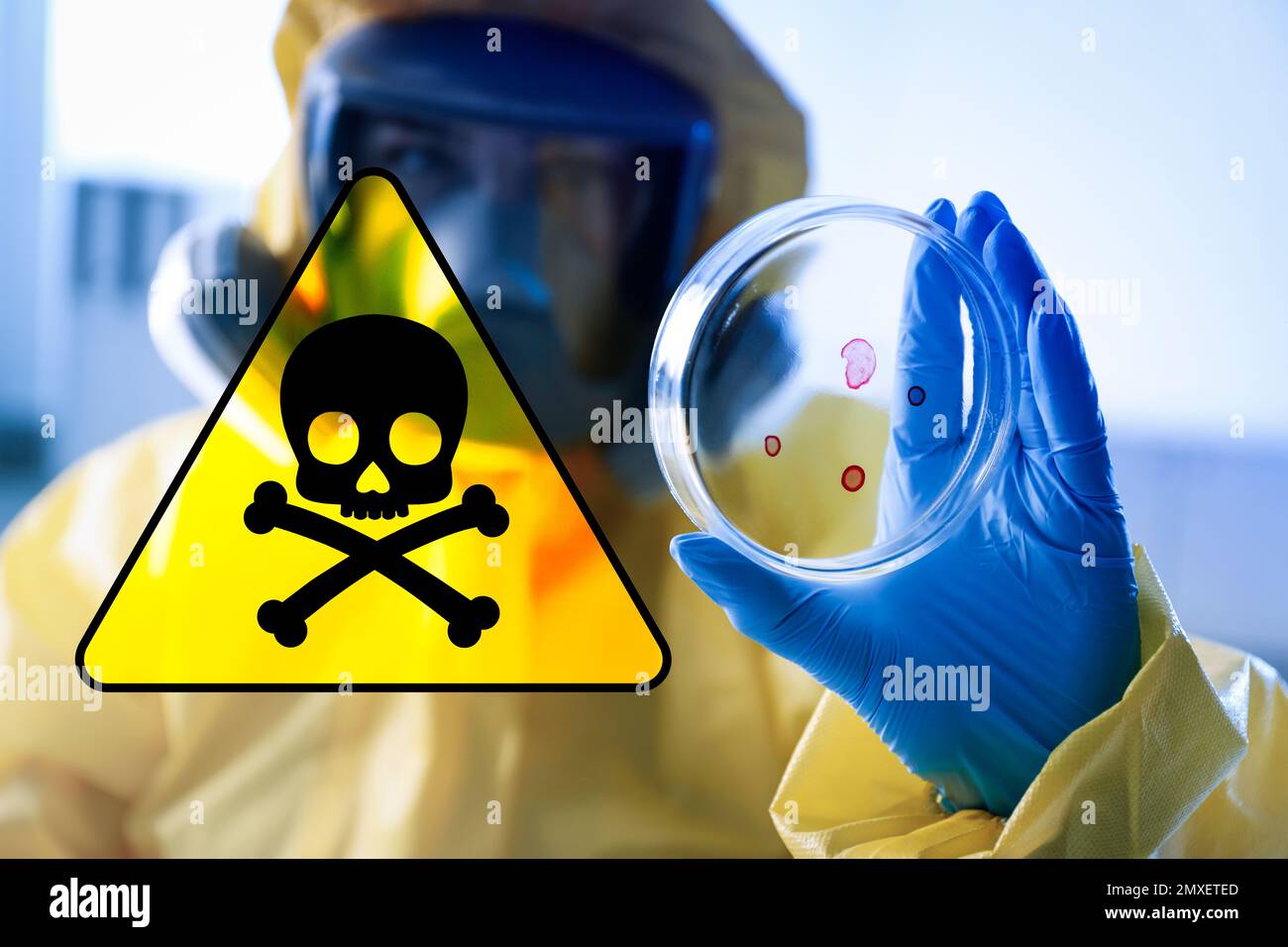 Poison sign and scientist holding Petri dish in laboratory, focus on ...