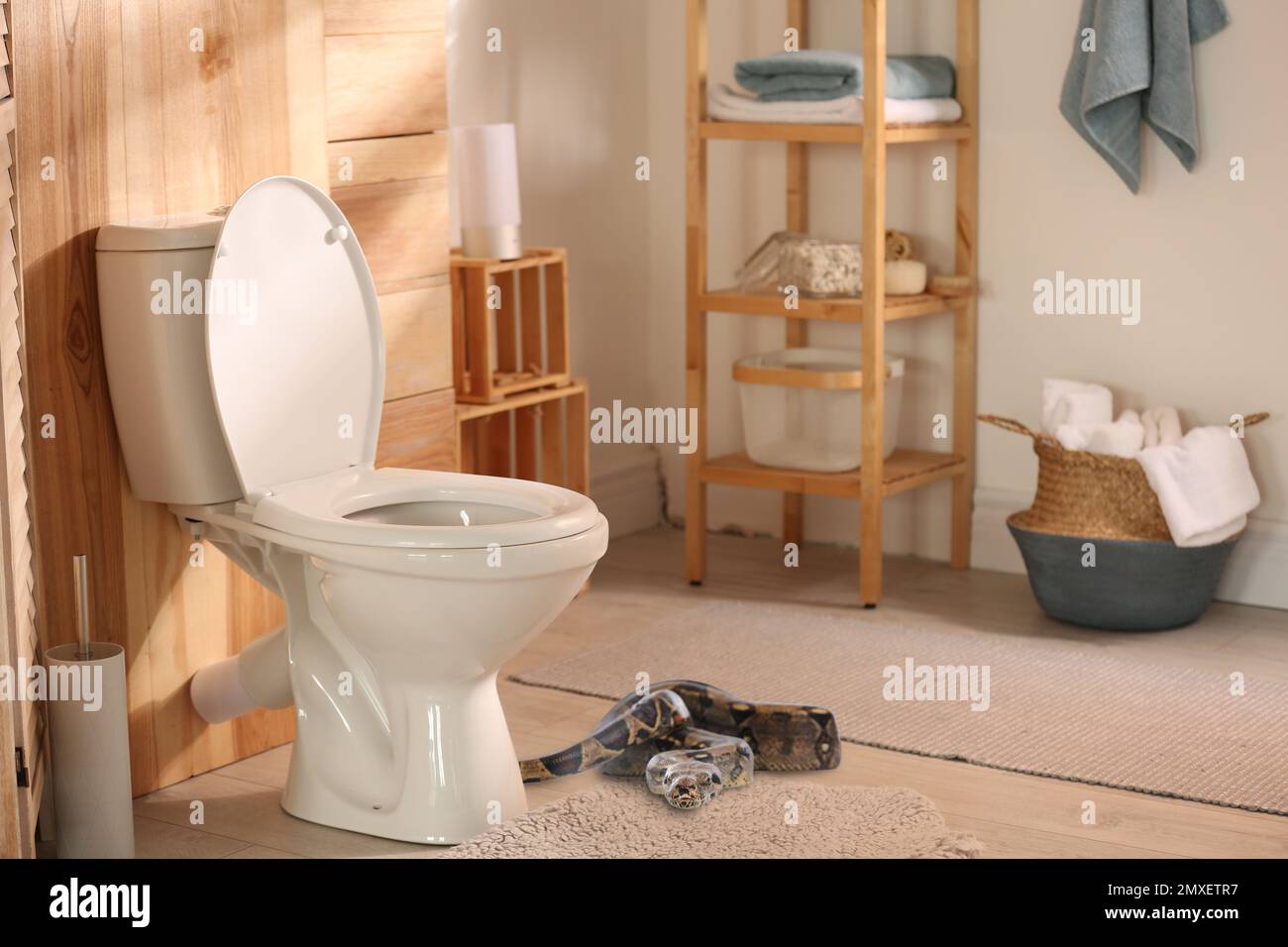 Brown boa constrictor near toilet bowl in bathroom Stock Photo - Alamy