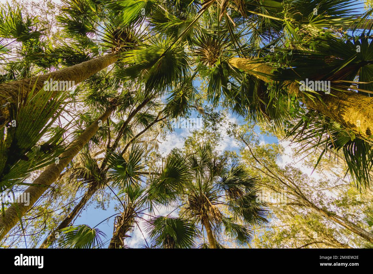 Overflow wetlands hi-res stock photography and images - Alamy