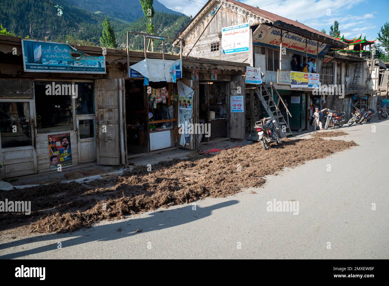Drying grass on the street of Boyun village, Swat Valley, Pakistan ...