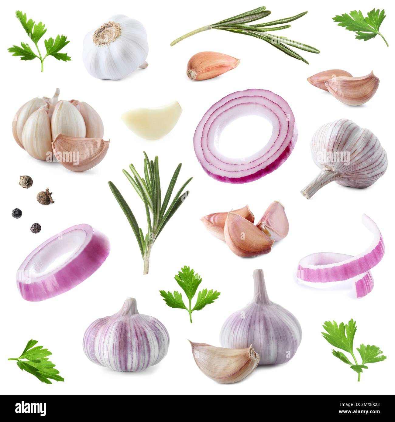 Set of fresh garlic and different seasonings on white background Stock ...