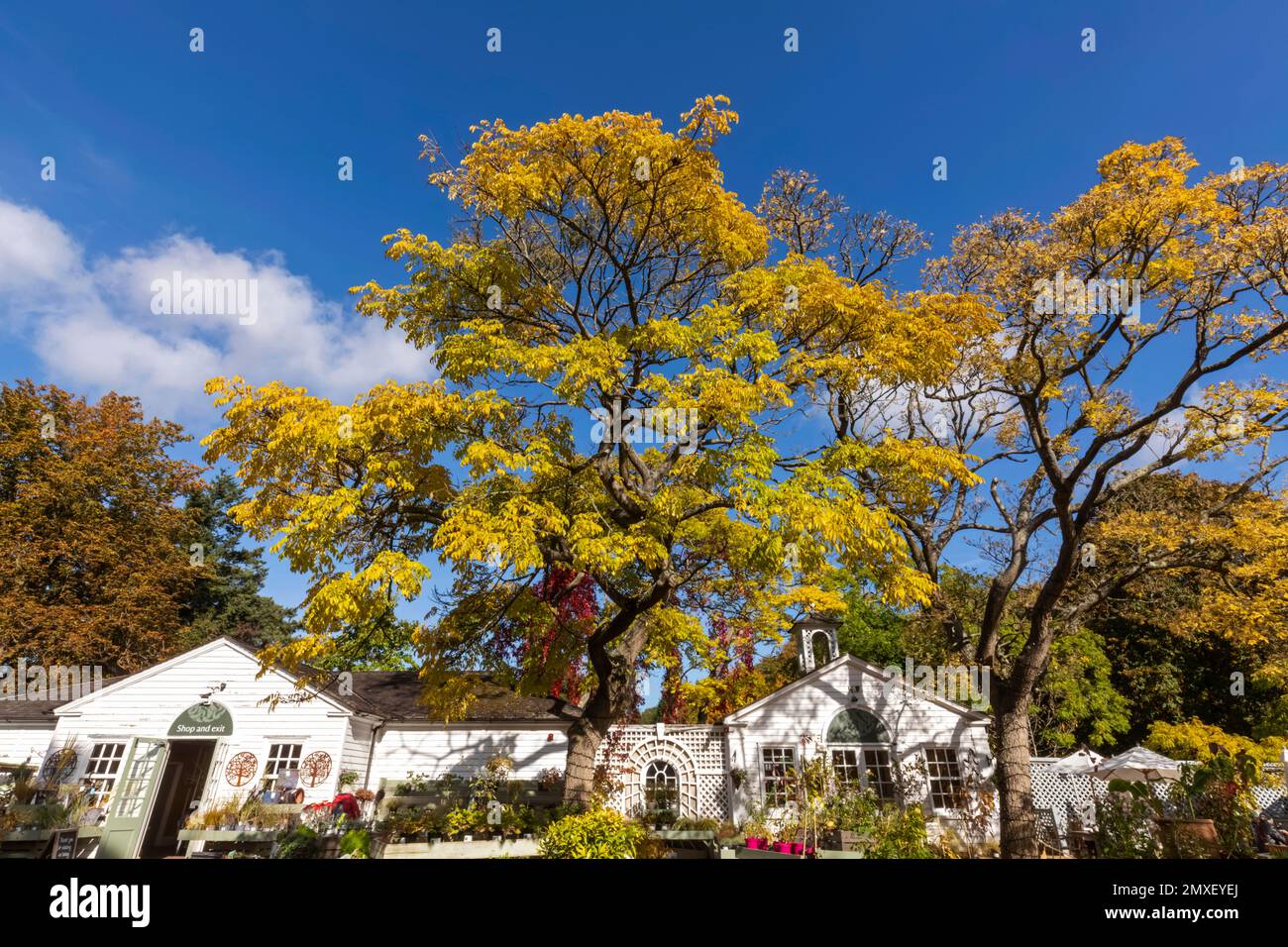 England, West Sussex, Handcross, Nymans, House and Gardens, Cafe and ...