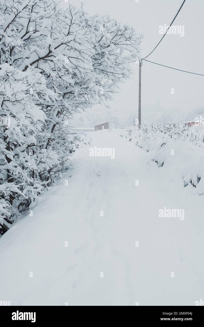 The storm Filomena affects several places in Spain, especially the ...