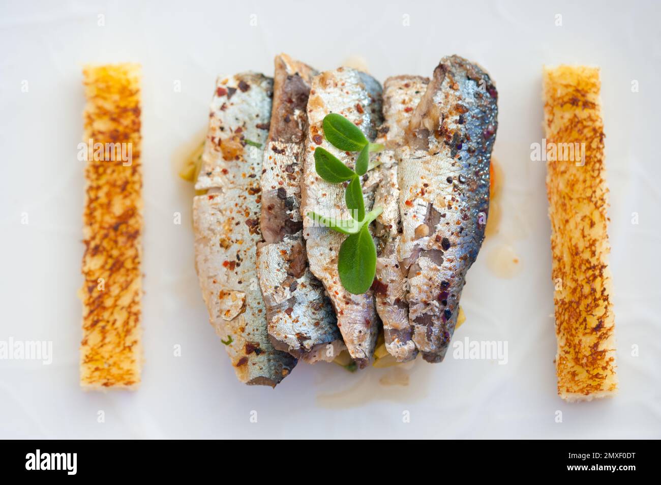 Close-up of Spanish Sardines flanked by two bread slices and topped by ...