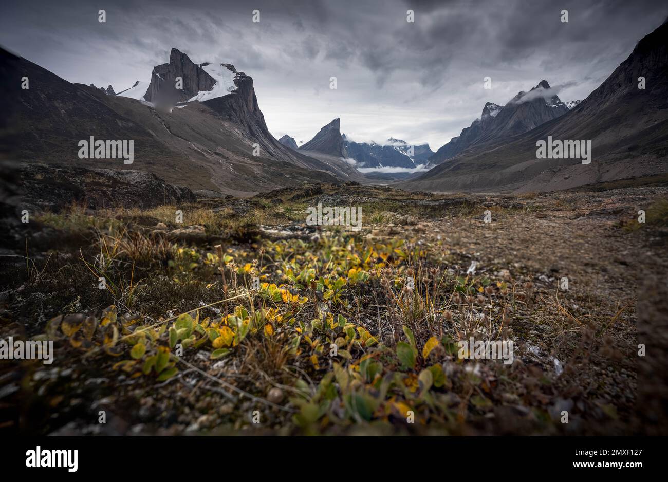 Mount thor baffin island hi-res stock photography and images - Alamy