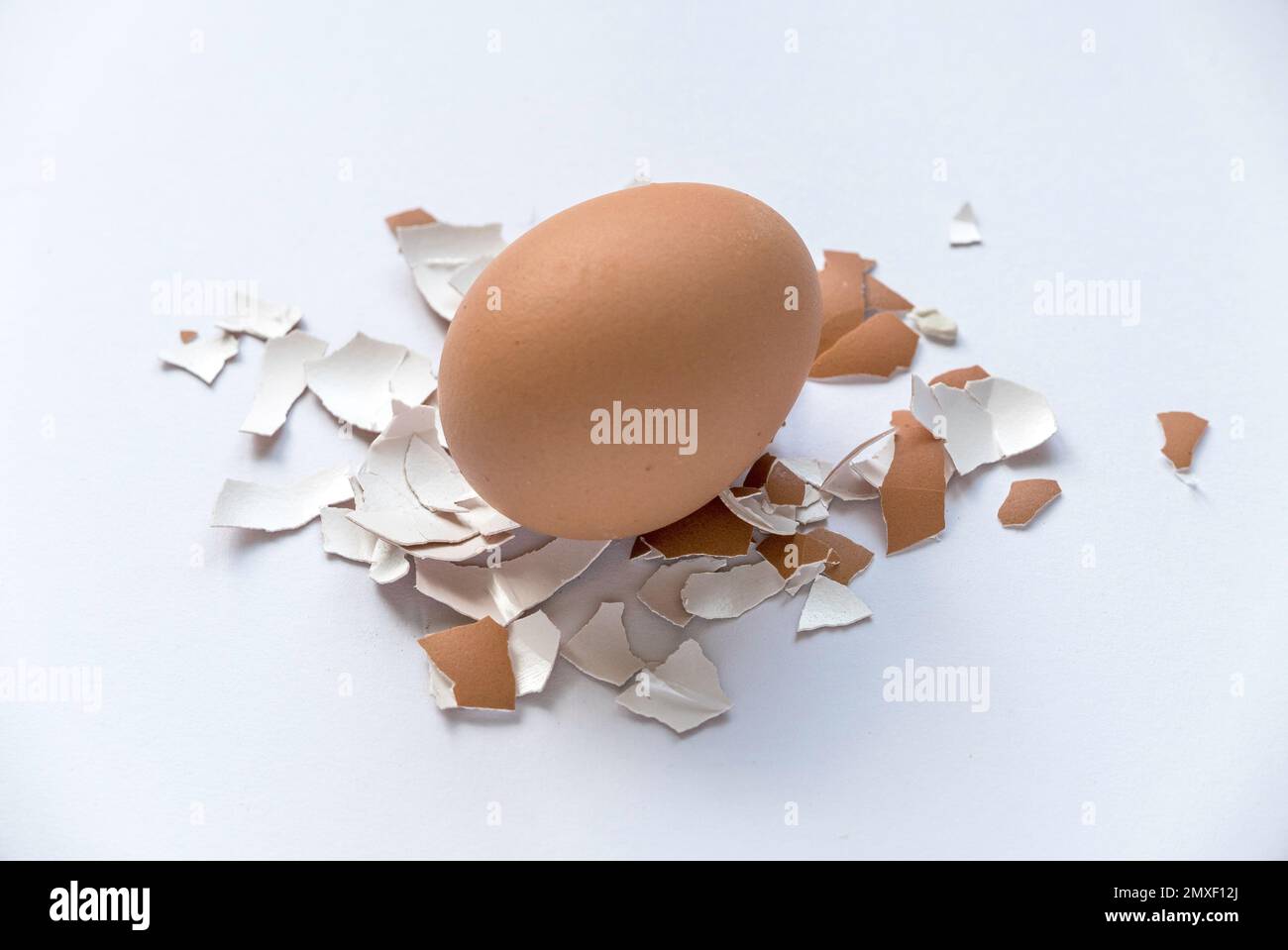 Eggshell isolated on a white background Stock Photo - Alamy