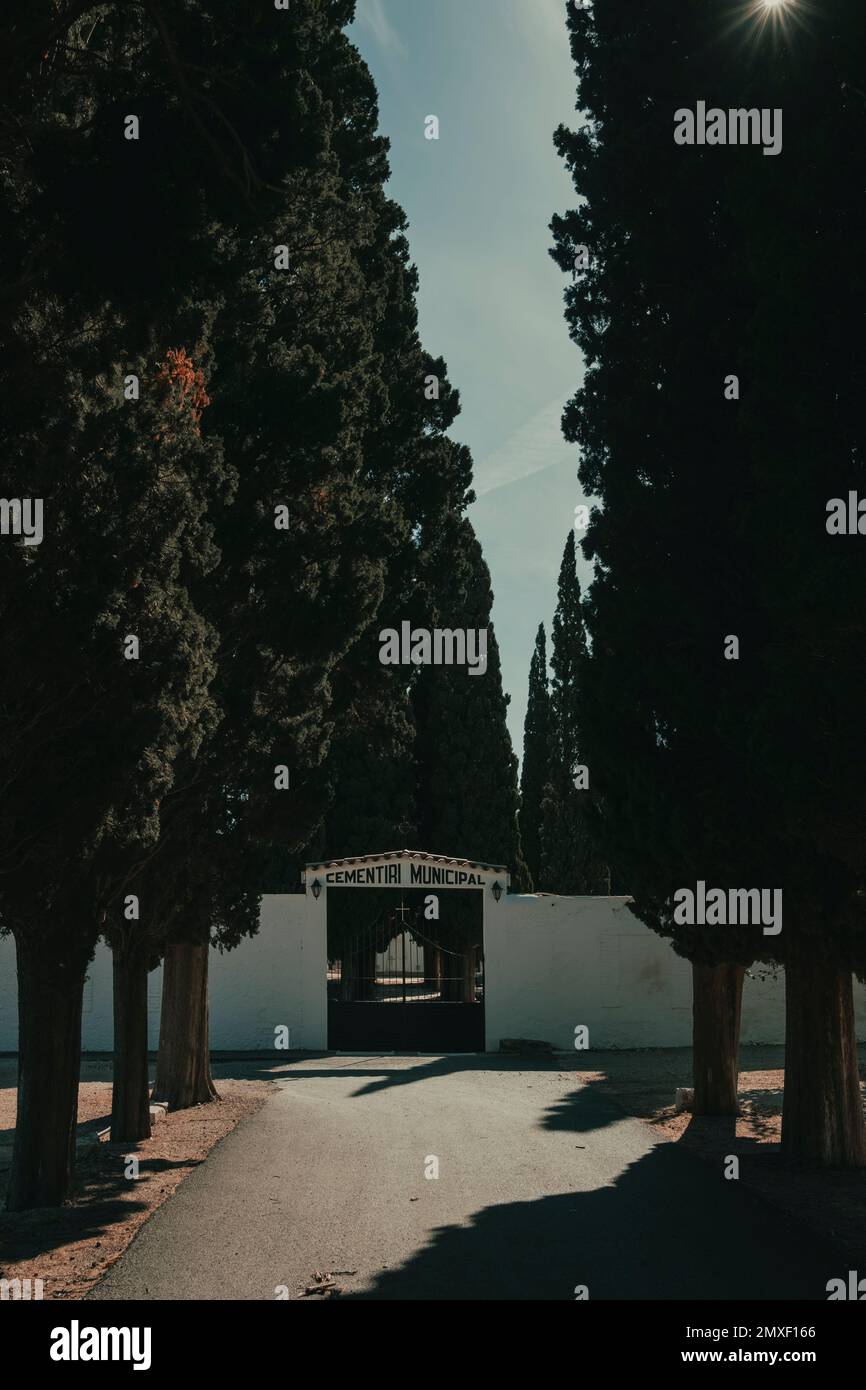 Entrance gate of a cemetery with cypress trees along the way Stock ...