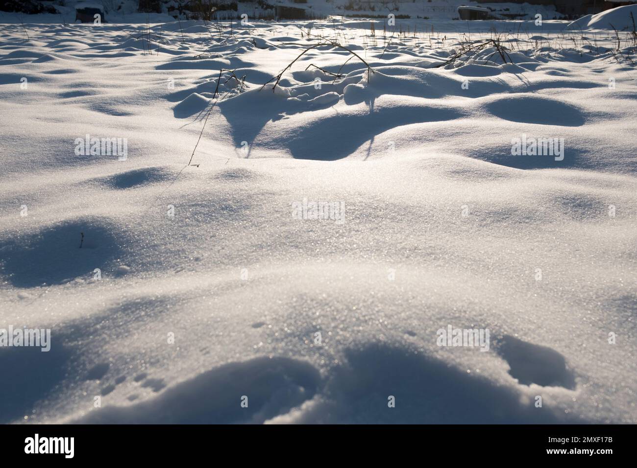 The storm Filomena affects several places in Spain, especially the ...