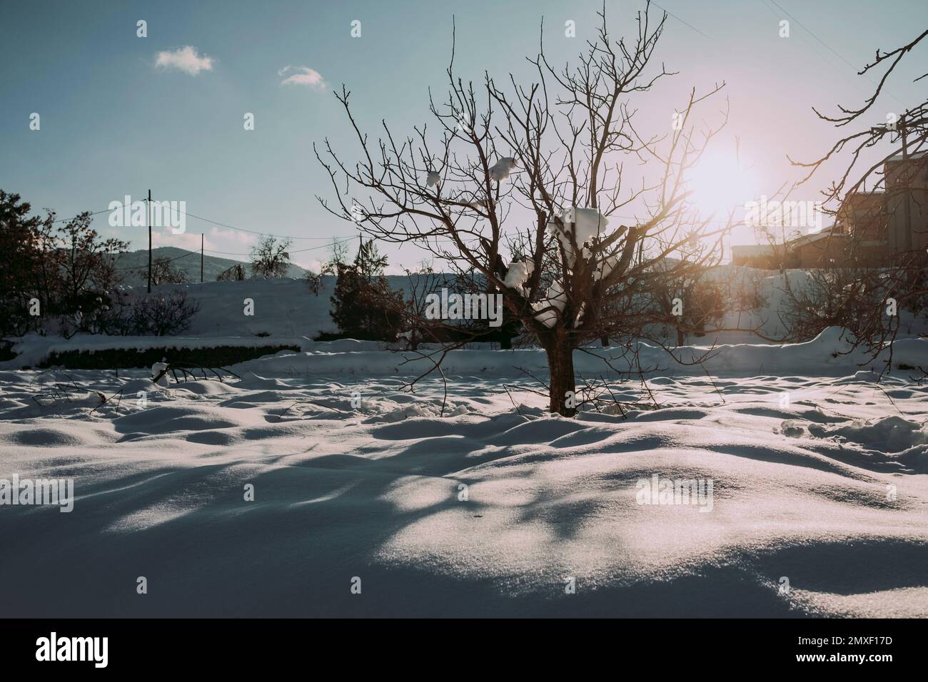 The storm Filomena affects several places in Spain, especially the ...