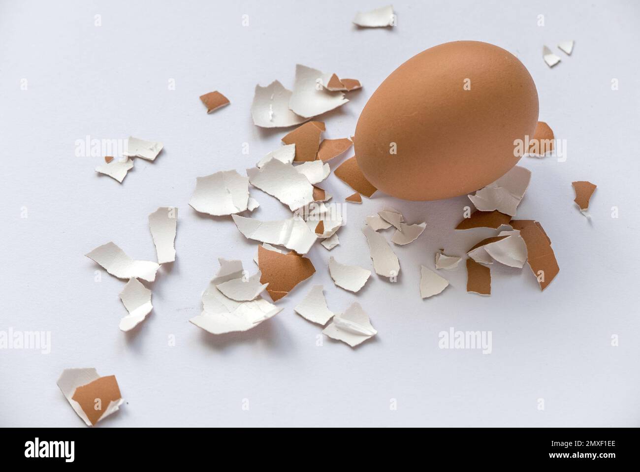 Eggshell isolated on a white background Stock Photo - Alamy