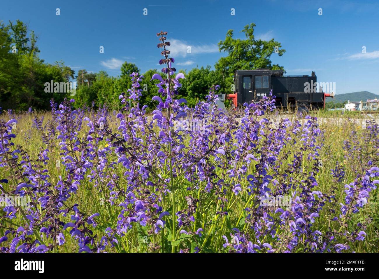 Koef locomotive hi-res stock photography and images - Alamy