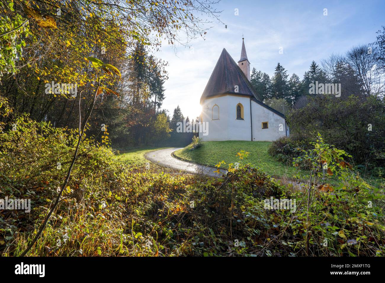 die Kirche St. Koloman in der Gemeinde Fridolfing , in tiefherbstlicher ...