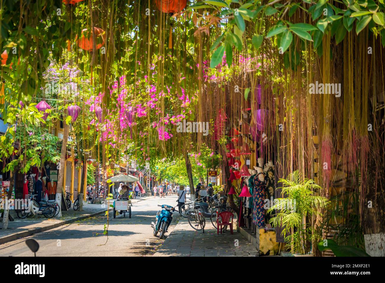 Colourful colorful street with lanterns and hanging purple flowers by ...