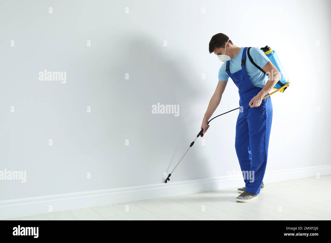Pest control worker spraying pesticide in room. Space for text Stock ...