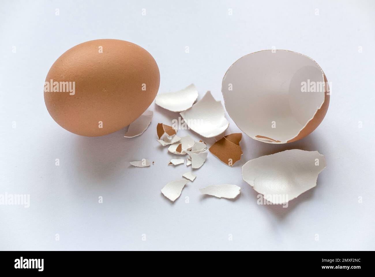 Eggshell isolated on a white background Stock Photo - Alamy