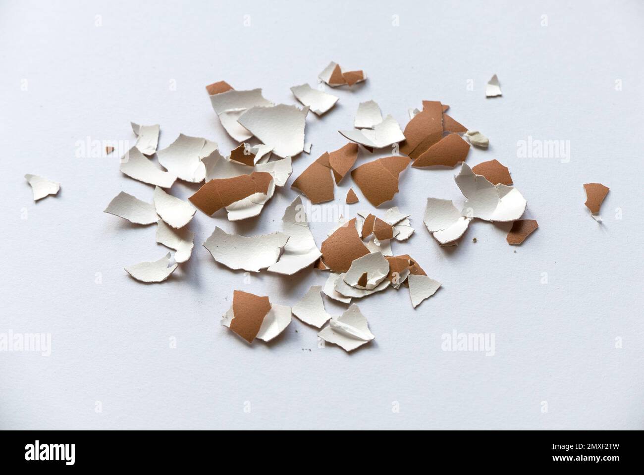 Eggshell isolated on a white background Stock Photo - Alamy